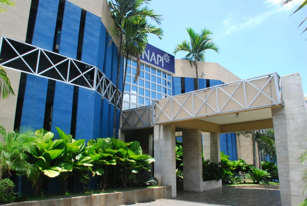 Lanzan quinta edición de la revista "ONAPI Informa" - RTVD